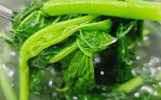 冬天吃什么菜最暖身_适合冬天吃的特色菜有哪些