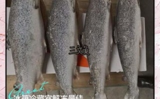 冷冻三文鱼怎么做好吃_冷冻三文鱼的做法大全