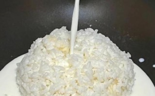 米布丁怎么做_米布丁需要哪些材料