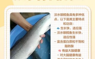 银雪鱼养殖条件_银雪鱼养殖水质要求