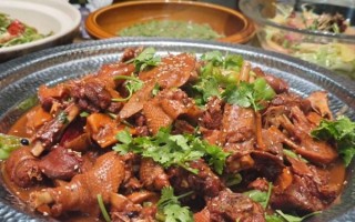 红烧老鹅怎么做好吃_红烧老鹅的家常做法