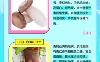 杏鲍菇和鸡腿菇的区别_如何挑选与烹饪