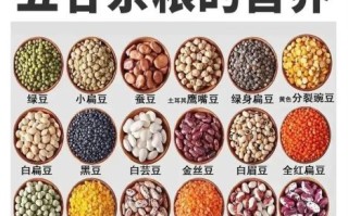 豆类食物有哪些图片_常见豆类品种大全