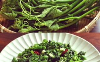 南瓜尖怎么炒好吃_南瓜尖需要焯水吗