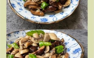 香菇怎么做才好吃_干香菇和鲜香菇哪个更香
