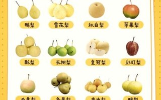 十大名梨有哪些_哪里的梨最甜最好吃
