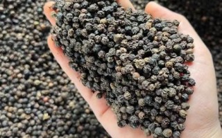 黑胡椒多少钱一斤_黑胡椒价格为何波动大