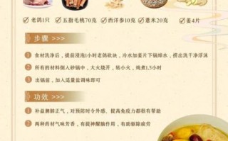 食疗药膳配方有哪些_适合四季的养生药膳怎么做