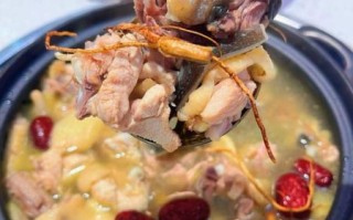 甲鱼炖鸡的做法大全_甲鱼炖鸡怎么做好吃