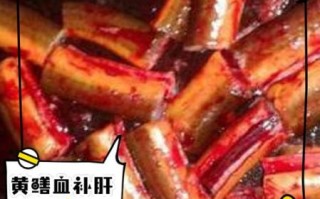 黄鳝血不能和什么一起吃_黄鳝血禁忌有哪些