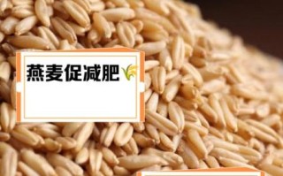 燕麦粥能减肥吗_燕麦粥的功效与作用