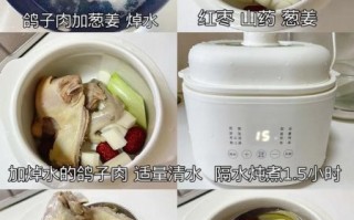 山药鸽子汤怎么炖最营养_山药鸽子汤的做法步骤