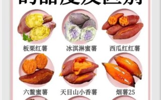 红薯减肥能吃吗_红薯的营养价值有哪些