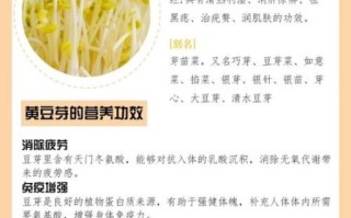 绿豆芽的功效与作用禁忌_哪些人不能吃