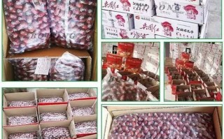 角瓜子图片_角瓜子怎么分辨真假