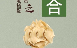 百合治痛风的做法_百合怎么吃降尿酸