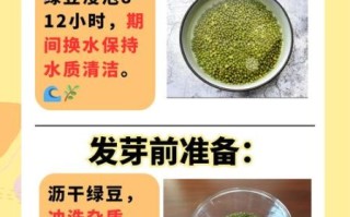 在家怎么生黄豆芽_生黄豆芽的详细步骤