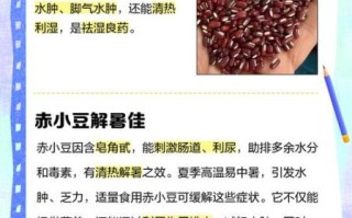 体寒能吃赤小豆吗_赤小豆适合体寒人群吗