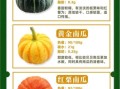 南瓜的热量是多少_减肥能吃南瓜吗