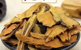 虎杖图片长什么样_虎杖和何首乌区别