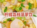 柠檬饮品怎么做_柠檬饮品做法大全