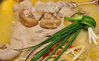 鸭肉煲汤的做法_鸭肉煲汤怎么做好吃