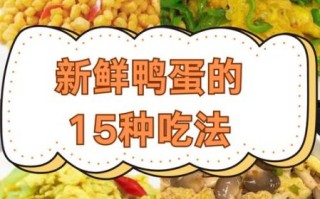 生鸭蛋怎么做好吃_生鸭蛋的10种家常做法