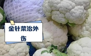 针菜花怎么做好吃_针菜花家常做法大全
