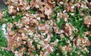 茴香炒肉怎么做_茴香炒肉用哪个部位