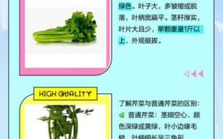 西芹菜图片_西芹菜怎么挑选