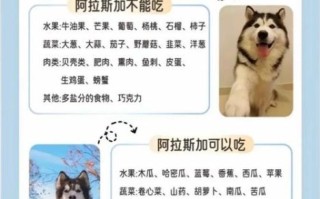 阿拉斯加犬适合家养吗_阿拉斯加犬的优缺点有哪些