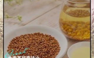 日本大麦茶的功效与作用_大麦茶能减肥吗