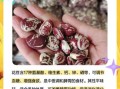 花豆怎么煮容易烂_花豆的功效与作用