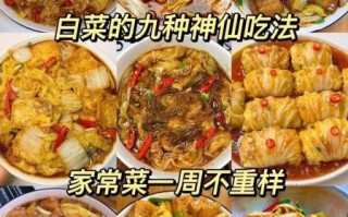 白菜怎么做好吃_家常白菜做法大全