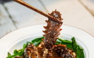 葱烧海参怎么做_海参泡发技巧