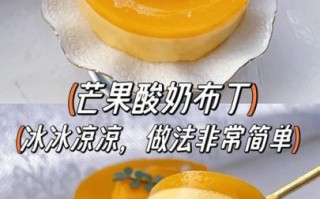 酸奶可以做什么甜品_酸奶甜品做法大全