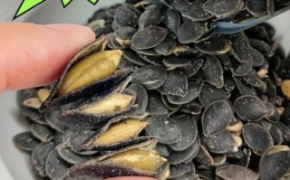 黑南瓜子的功效与作用_黑南瓜子一天吃多少粒最好