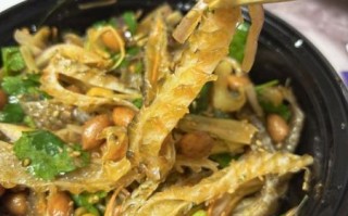 凉拌鱼皮怎么做_正宗川味鱼皮做法