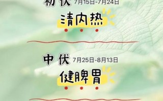 三伏天如何养生_三伏天吃什么最好