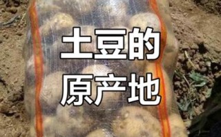 马铃薯的由来_马铃薯原产地在哪里
