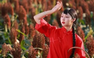 高粱红九儿是什么_高粱红九儿好喝吗