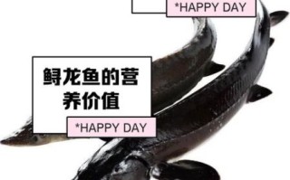 鲟龙鱼图片高清_鲟龙鱼怎么分公母