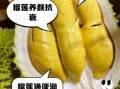榴莲的功效与作用禁忌_榴莲长肉吗