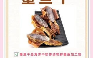 墨鱼汁的功效与作用_墨鱼汁怎么做才好吃