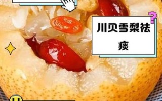 冰糖雪梨川贝怎么做_川贝炖雪梨的功效与禁忌