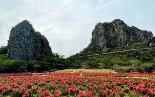 阳春旅游景点有哪些_阳春最值得去的地方