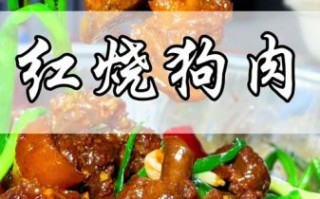 辣炒狗肉怎么做_辣炒狗肉正宗做法