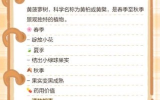 黄菠萝树是什么树_黄菠萝树怎么养