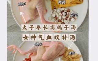 鸽子汤怎么炖最营养_鸽子汤的功效与作用有哪些