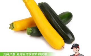 黄节瓜图片_黄节瓜长什么样